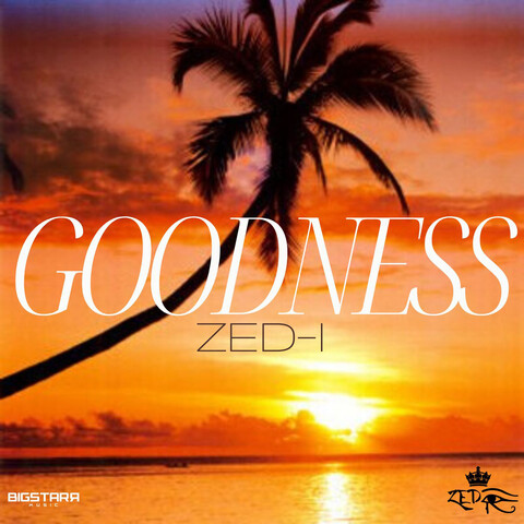 Goodness Song Download: Goodness MP3 Song Online Free on Gaana.com