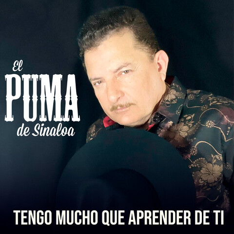 Tengo Mucho Que Aprender de Ti Song Download: Tengo Mucho Que Aprender ...