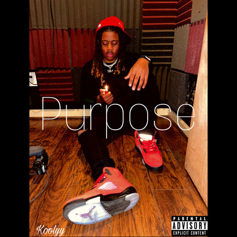 Purpose Song Download: Purpose MP3 Song Online Free on Gaana.com