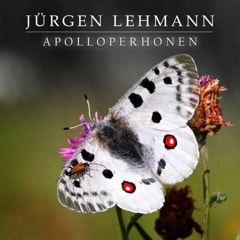 Apolloperhonen Song Download: Apolloperhonen MP3 Finnish Song Online ...