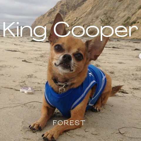 King Cooper Song Download: King Cooper MP3 Song Online Free on Gaana.com