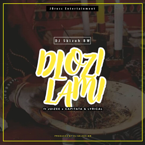 Dlozi Lami Song Download: Dlozi Lami MP3 Zulu Song Online Free on Gaana.com