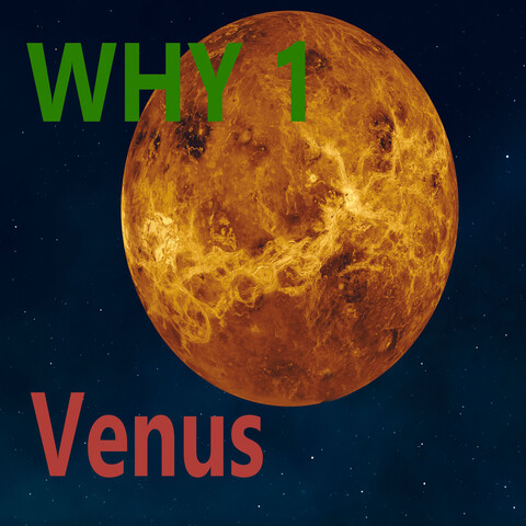 Venus Song Download: Venus MP3 Song Online Free on Gaana.com