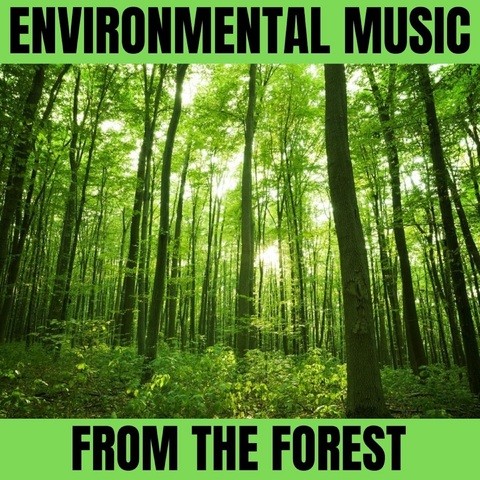 Environmental Music from the Forest Songs Download: Environmental Music ...