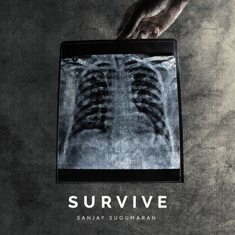 Survive Song Download: Survive MP3 Song Online Free on Gaana.com