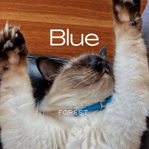 Blue Song Download: Blue MP3 Song Online Free on Gaana.com