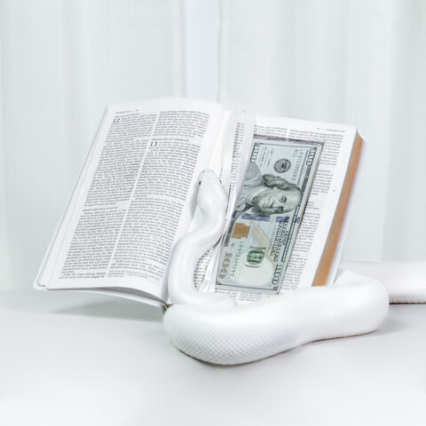 MONEY BAG Song Download: MONEY BAG MP3 Song Online Free on Gaana.com