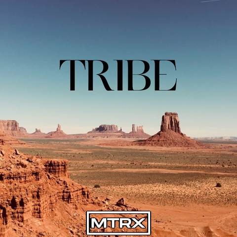Tribe Song Download: Tribe MP3 Song Online Free on Gaana.com