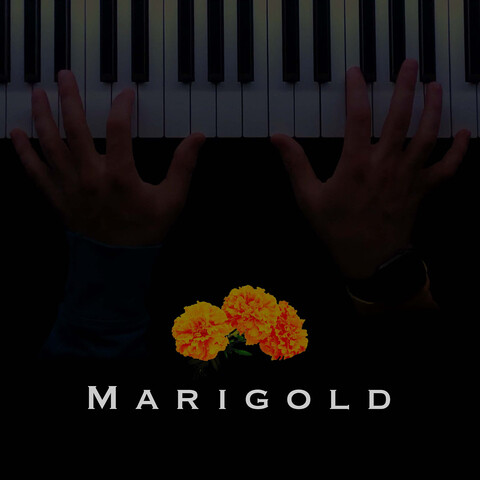 Marigold Song Download: Marigold MP3 Song Online Free on Gaana.com