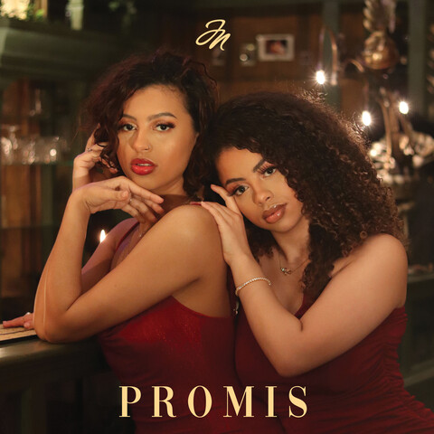 Promis Song Download: Promis MP3 French Song Online Free on Gaana.com
