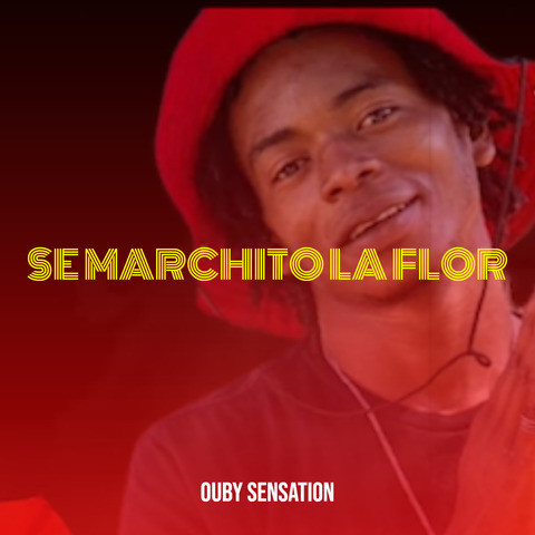 Se Marchito la Flor Song Download: Se Marchito la Flor MP3 Spanish Song ...