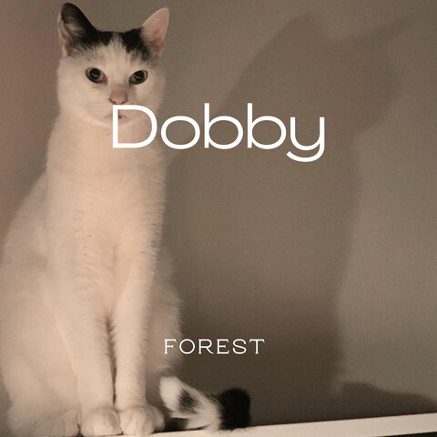 Dobby Song Download: Dobby MP3 Song Online Free on Gaana.com