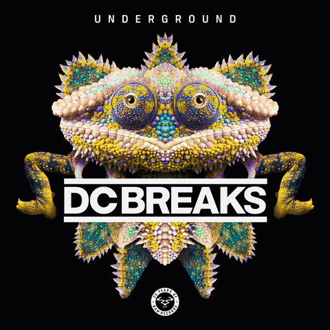 Underground Song Download: Underground MP3 Song Online Free on Gaana.com