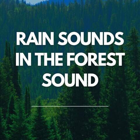 Rain Sounds In The Forest Sound Song Download: Rain Sounds In The ...