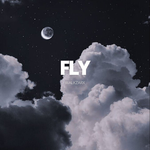 Fly Song Download: Fly MP3 Song Online Free on Gaana.com