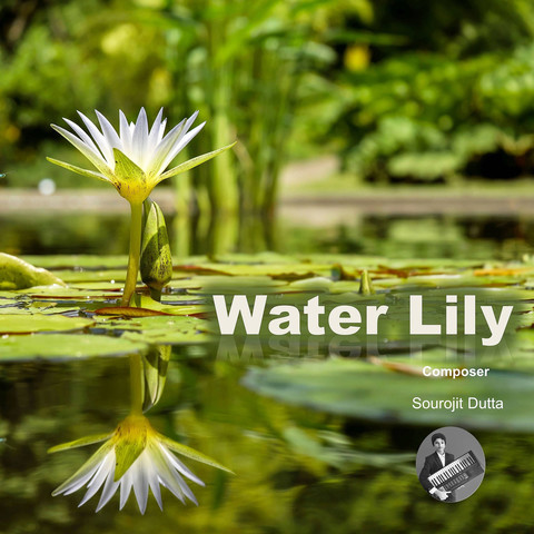 Water Lily Song Download: Water Lily MP3 Song Online Free on Gaana.com