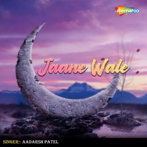 Jaane Wale Song Download: Jaane Wale MP3 Song Online Free on Gaana.com