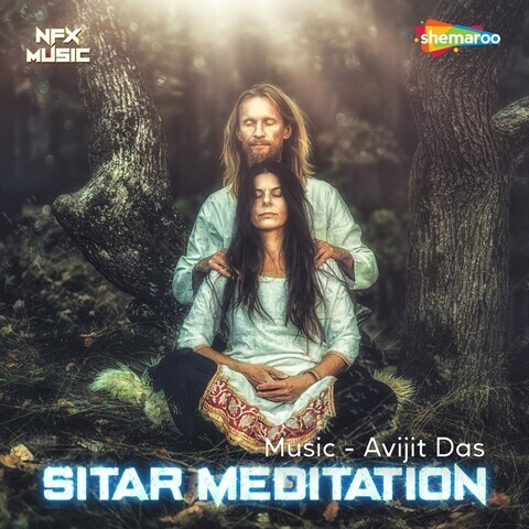 Sitar Meditation Song Download: Sitar Meditation MP3 Instrumental Song Online Free on Gaana.com