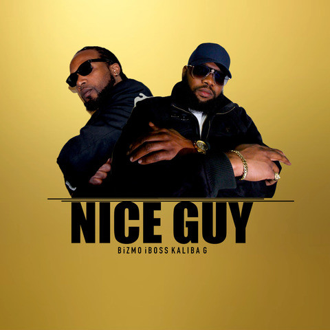 Nice Guy Song Download: Nice Guy MP3 Song Online Free on Gaana.com