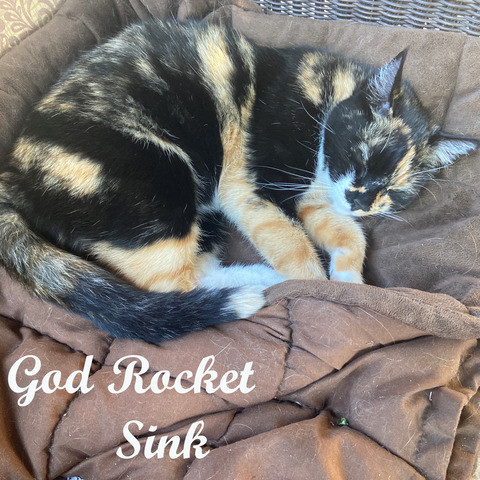 Sink Song Download: Sink MP3 Song Online Free on Gaana.com