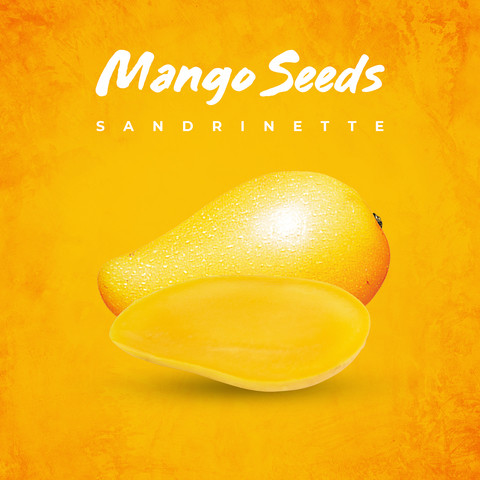 Mango Seeds Song Download: Mango Seeds MP3 Song Online Free on Gaana.com
