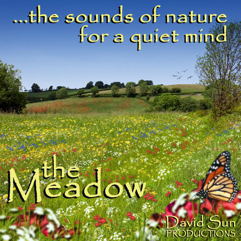 The Meadow (The Sounds of Nature for a Quiet Mind) Song Download: The ...