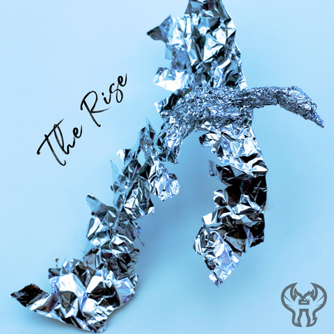 The Rise Songs Download: The Rise MP3 Songs Online Free on Gaana.com