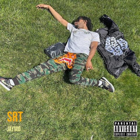 Srt Song Download: Srt MP3 Song Online Free on Gaana.com