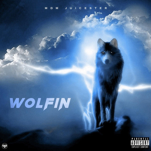 Wolfin Song Download: Wolfin MP3 Song Online Free on Gaana.com