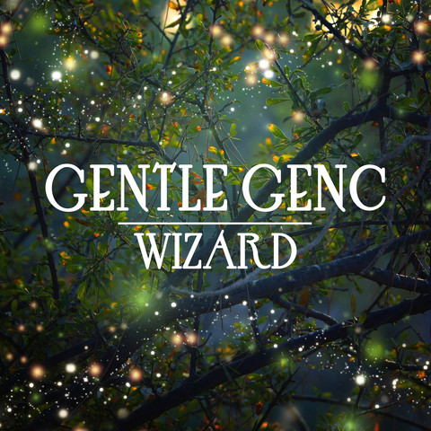 Wizard Song Download: Wizard MP3 Song Online Free on Gaana.com
