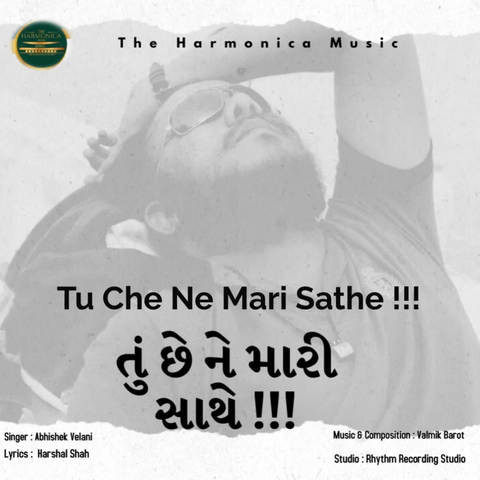 Tu Che Ne Mari Sathe Song Download: Tu Che Ne Mari Sathe MP3 Gujarati ...