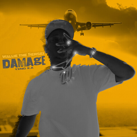 Damage Song Download: Damage MP3 Song Online Free on Gaana.com