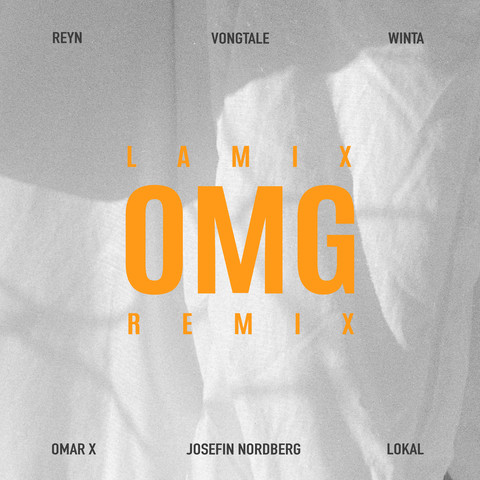 OMG (Remix) Song Download: OMG (Remix) MP3 Swedish Song Online Free on ...