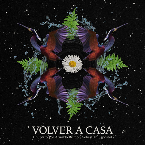 Volver a Casa Songs Download: Volver a Casa MP3 Spanish Songs Online ...