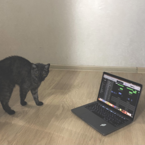 Alisa Song Download: Alisa MP3 Song Online Free on Gaana.com