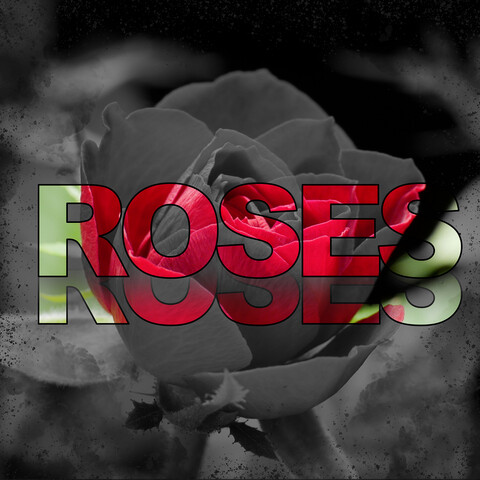 Roses Song Download: Roses MP3 Song Online Free on Gaana.com