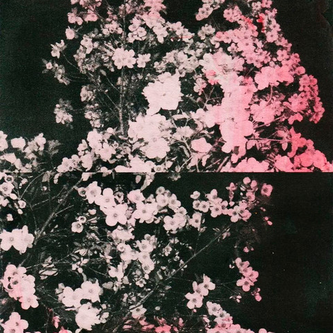 ChoCho Song Download: ChoCho MP3 Spanish Song Online Free on Gaana.com