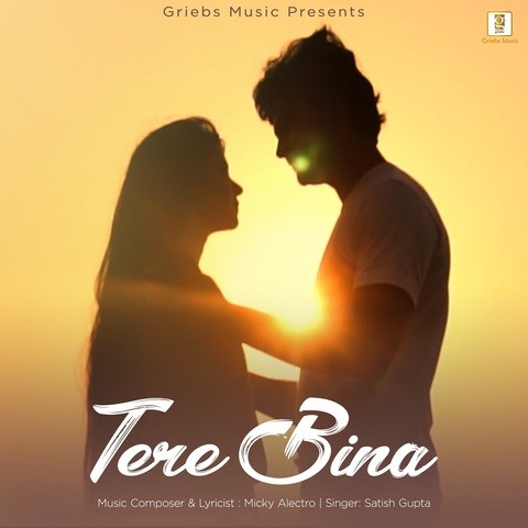 Tere Bina Song Download: Tere Bina MP3 Song Online Free on Gaana.com