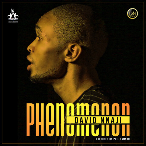Phenomenon Song Download: Phenomenon MP3 Song Online Free on Gaana.com