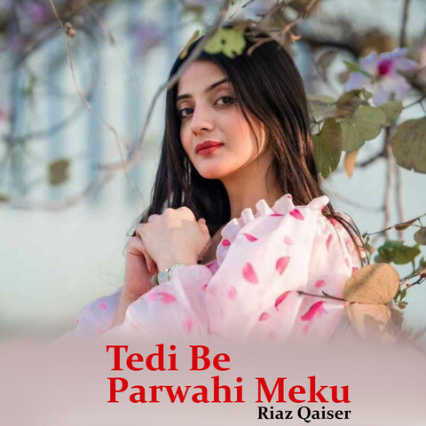 Tedi Be Parwahi Meku Song Download: Tedi Be Parwahi Meku MP3 Punjabi ...