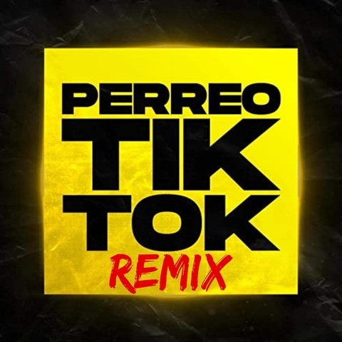 Perreo TikTok Remix Song Download: Perreo TikTok Remix MP3 Spanish Song ...