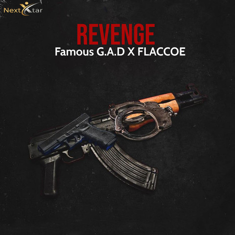 Revenge Song Download: Revenge MP3 Song Online Free on Gaana.com