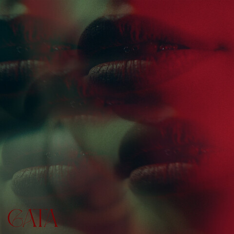 GATA Song Download: GATA MP3 Spanish Song Online Free on Gaana.com