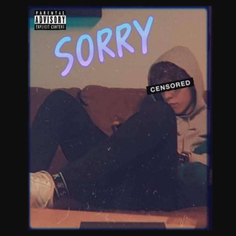 Sorry Song Download: Sorry MP3 Song Online Free on Gaana.com