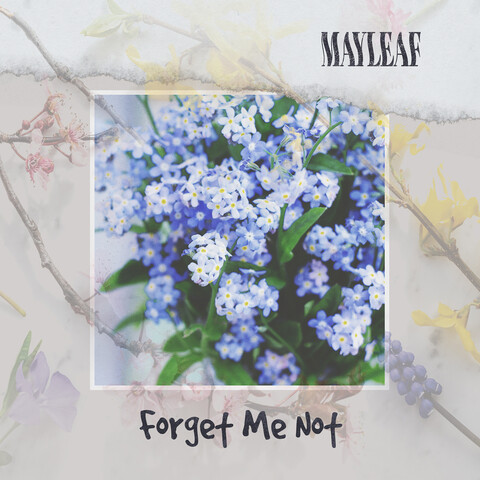 Forget Me Not Songs Download: Forget Me Not MP3 Songs Online Free on ...