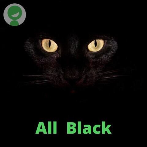 All Black Song Download: All Black MP3 Song Online Free on Gaana.com