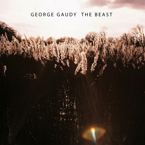 The Beast Song Download: The Beast MP3 Song Online Free on Gaana.com