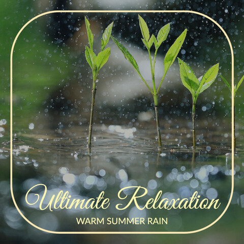 Warm Summer Rain Song Download: Warm Summer Rain MP3 Song Online Free on Gaana.com