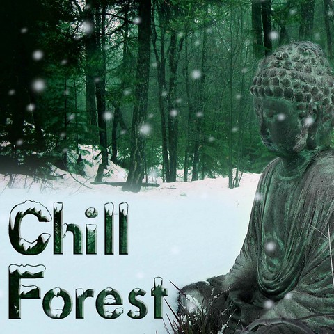 Chill Forest Songs Download: Chill Forest MP3 Instrumental Songs Online ...