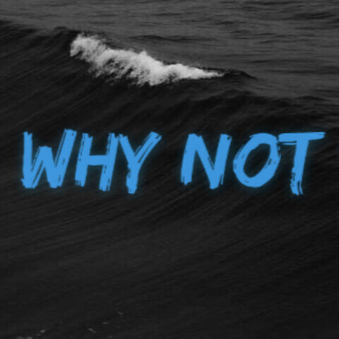 Why Not Song Download: Why Not MP3 Song Online Free on Gaana.com
